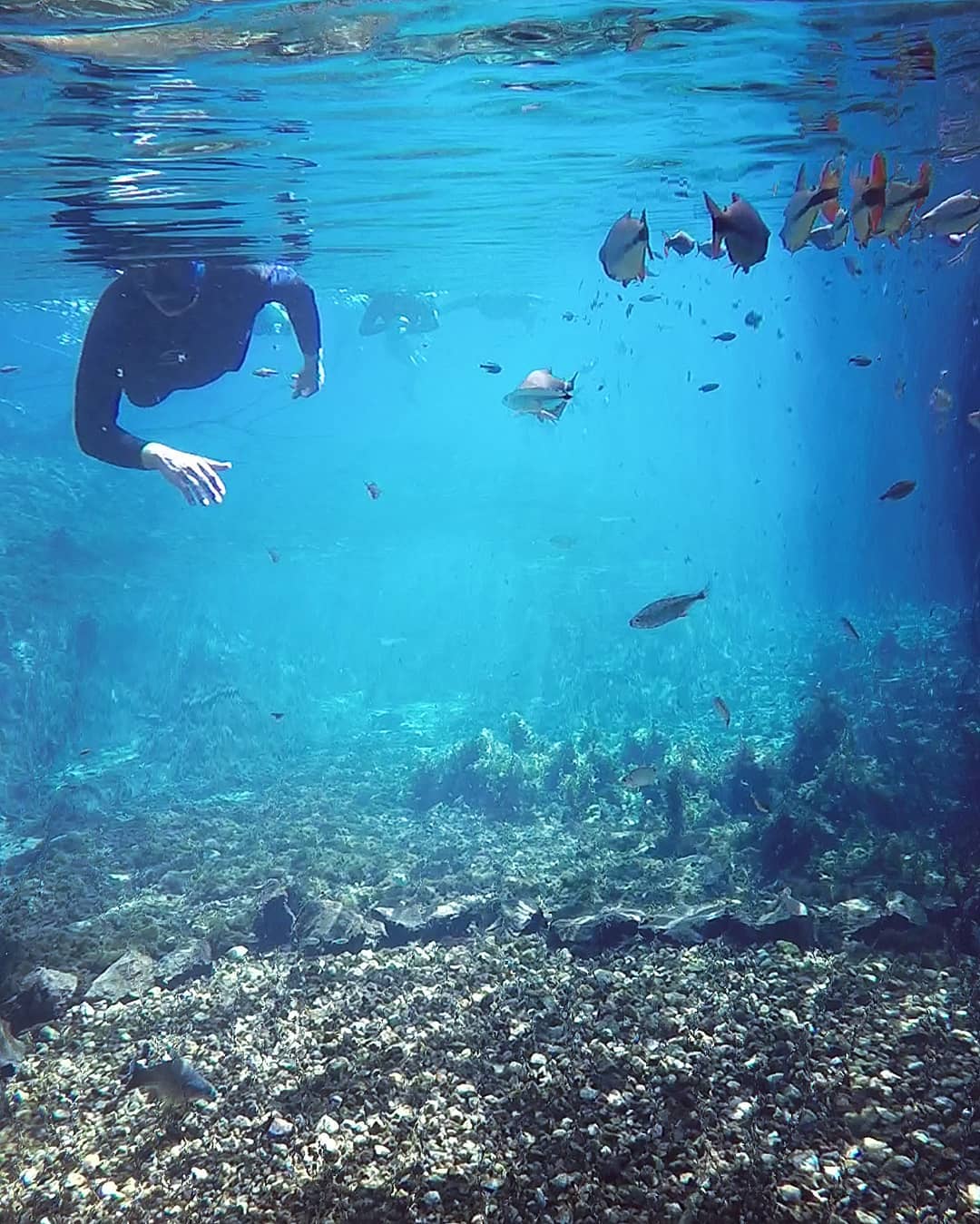 As 5 melhores atrações de Bonito – MS – 360go